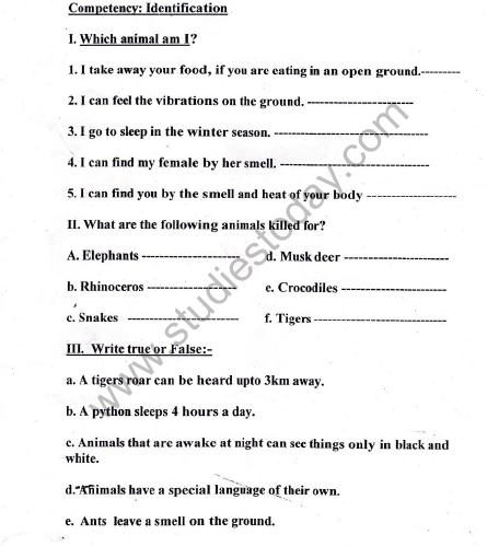 CBSE Class 5 EVS Super Senses Worksheet